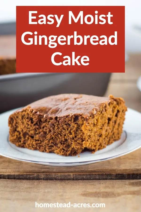 Moist Gingerbread Cake Recipe - Homestead Acres