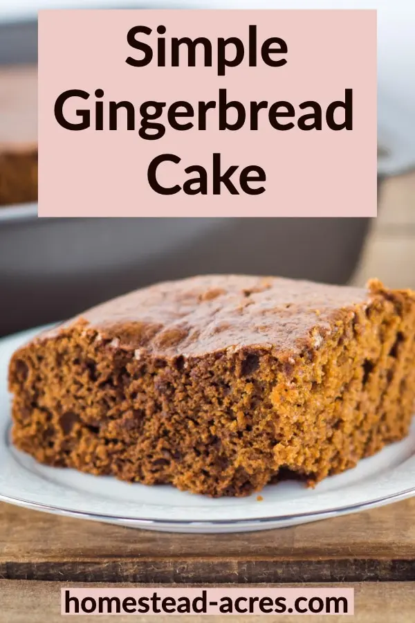 Moist Gingerbread Cake Recipe - Homestead Acres