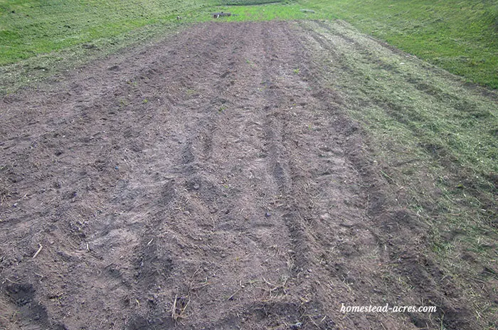 How To Grow Potatoes (Everything You Need) - Homestead Acres