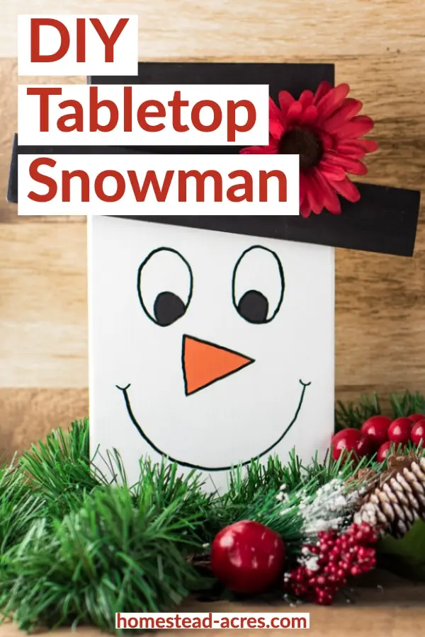 How To Make A Wooden Tabletop Snowman Face (With Printable Pattern ...