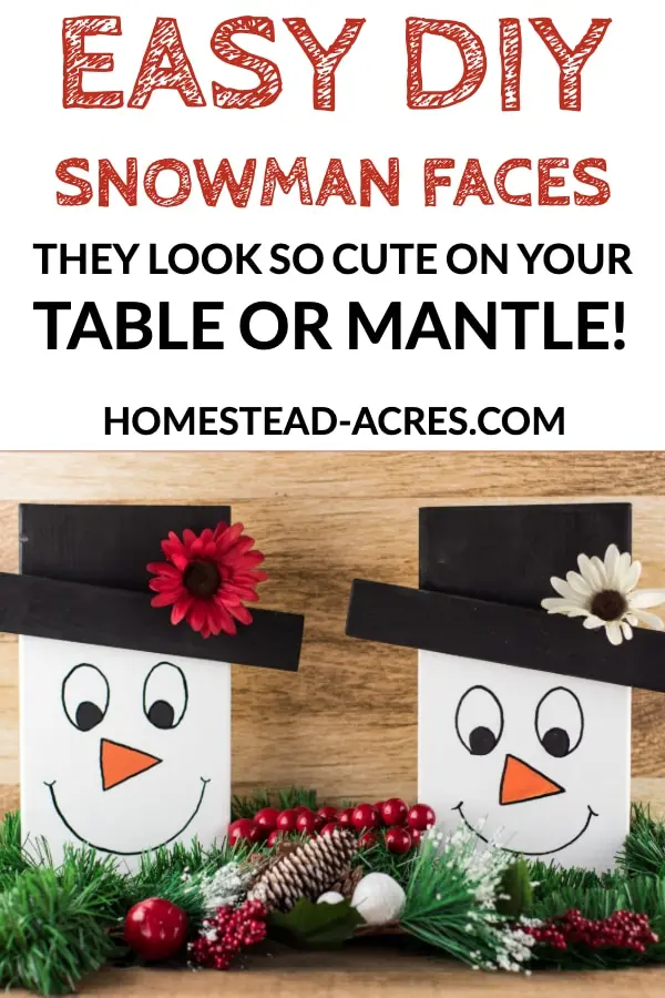 How To Make A Wooden Tabletop Snowman Face (With Printable Pattern ...