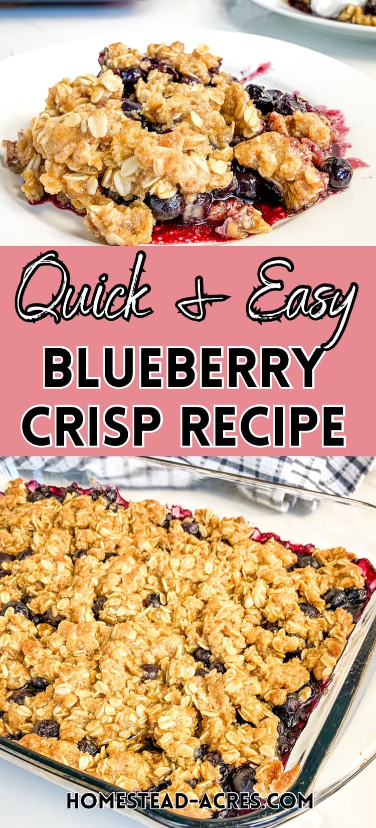 Easy Blueberry Crisp