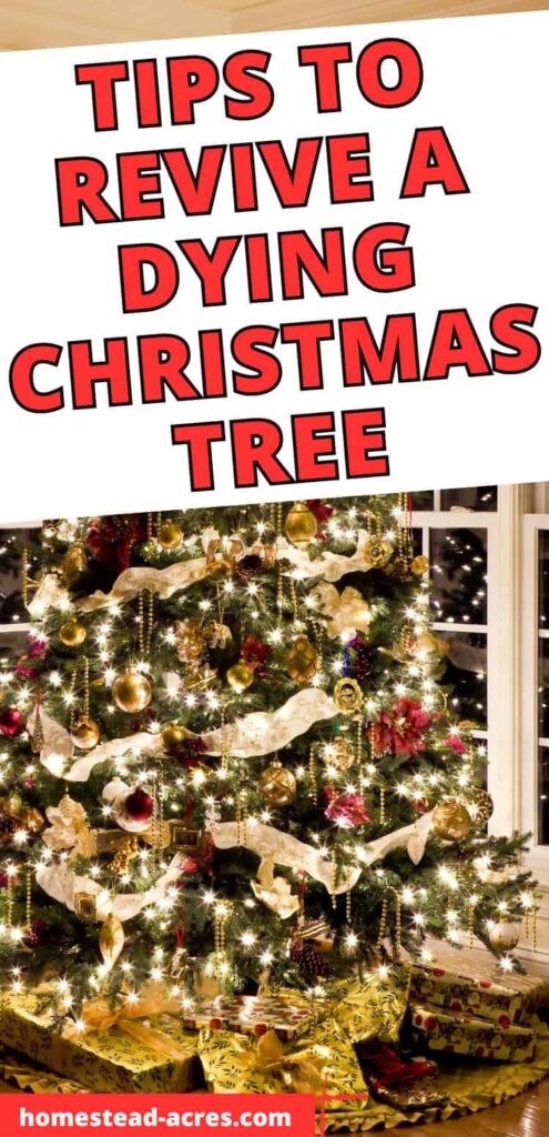 How To Revive A Christmas Tree