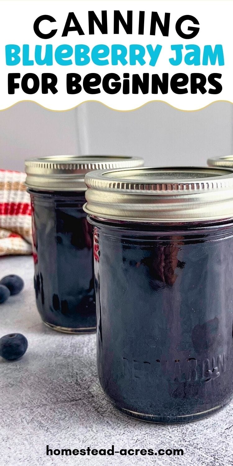 Homemade Blueberry Jam With Pectin